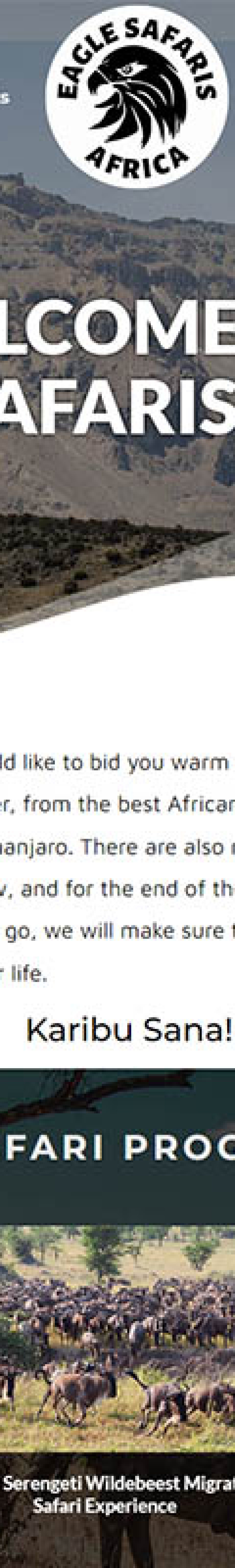 Our Website Portfolio - TNT Factory - Digital Marketing & Web Design Agency